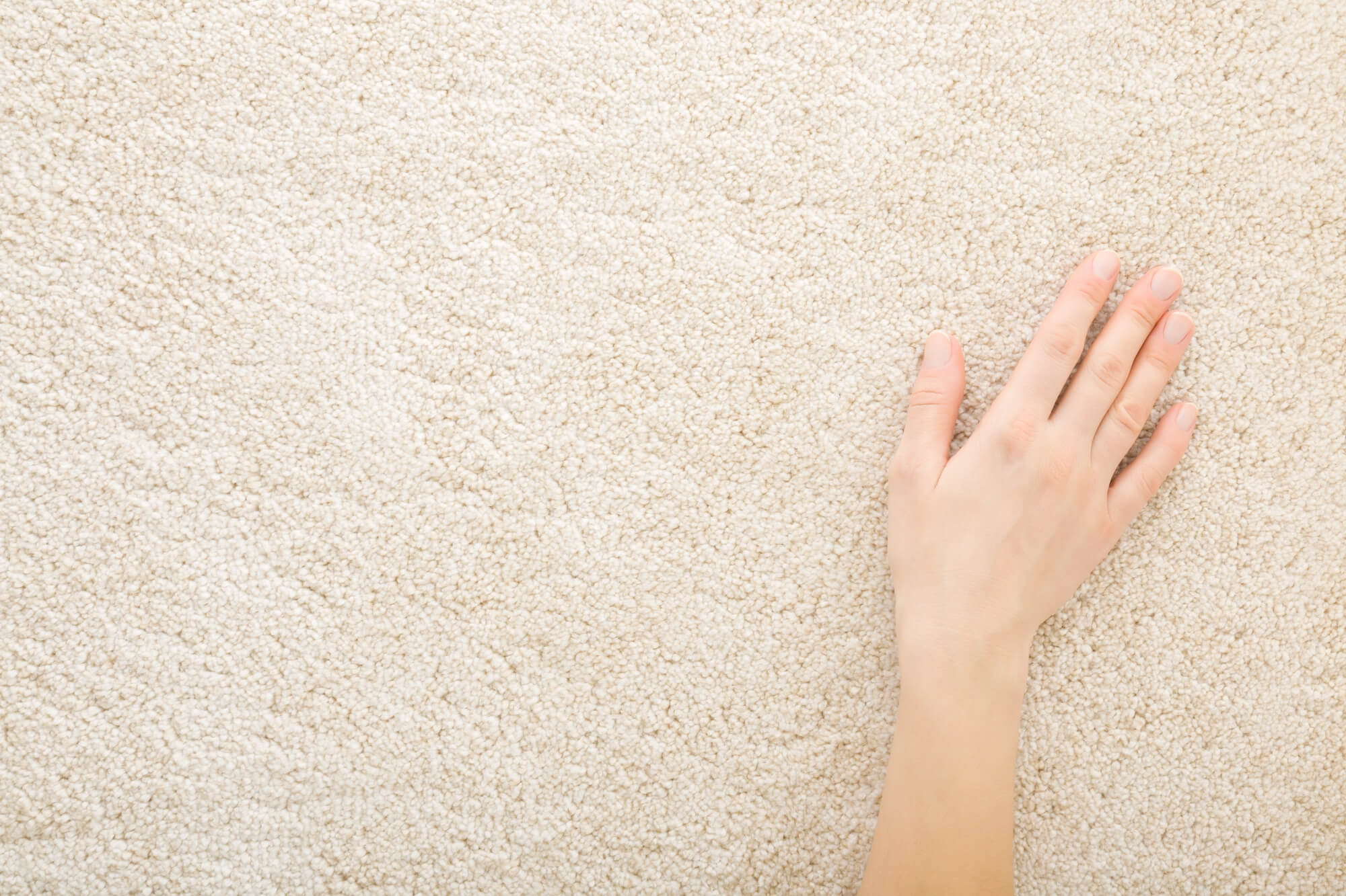 Commercial Flooring Company Bath | Paul Ealey